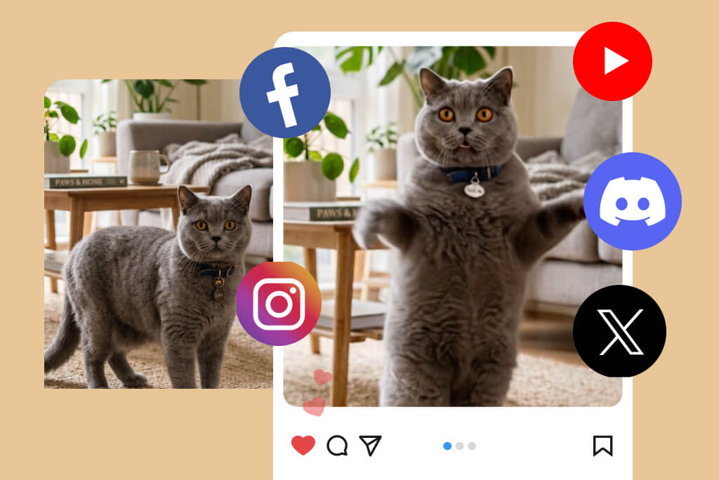 AI Cat Dance Video Generator: Make Pets Dance | insMind